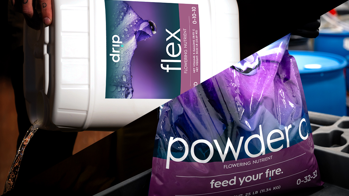 Can You Mix Drip Hydro FLUIDS and POWDERS? Here’s How to Do It Right ...