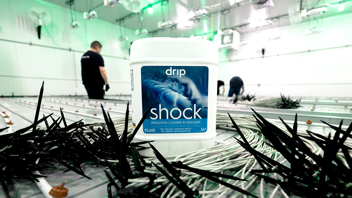 Drip Hydro | Feed your fire. - Drip Hydro