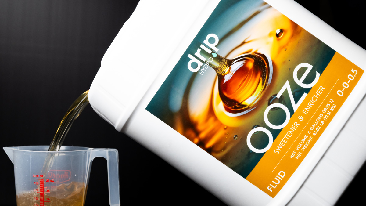 Ooze Drops Today: The Clean-Feed Flavor Shift Starts Now - Drip Hydro