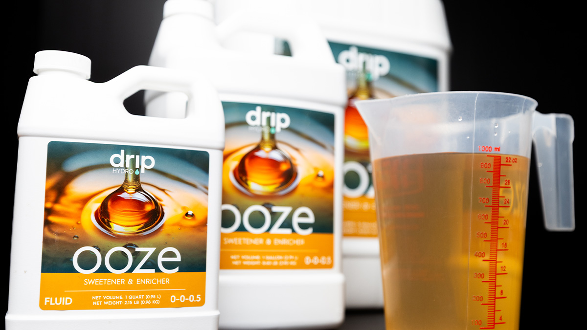 Drip Hydro | Feed your fire. - Drip Hydro