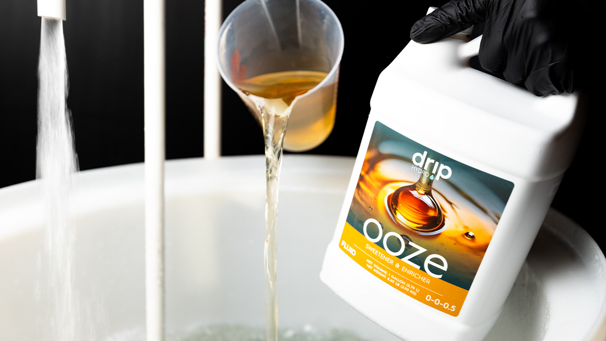 Drip Hydro | Feed your fire. - Drip Hydro